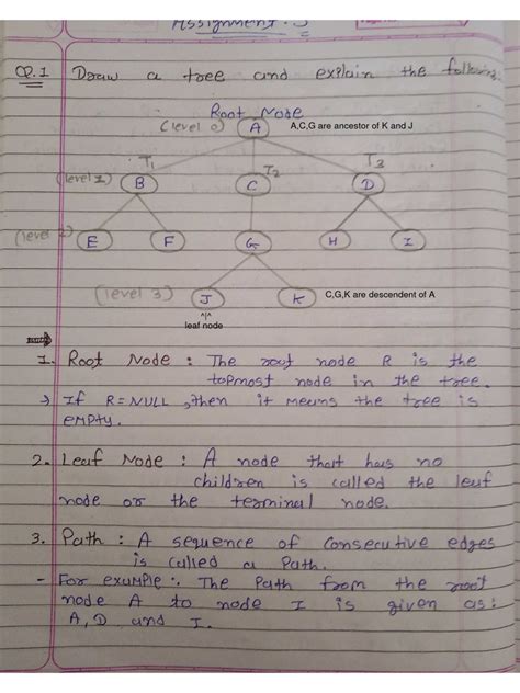 U3 Assignment Pdf