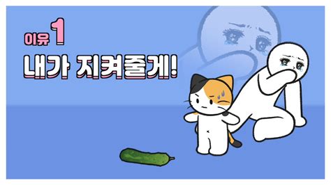 고양이가 엉덩이를 들이미는 이유 5가지 비마이펫 크리에이터즈