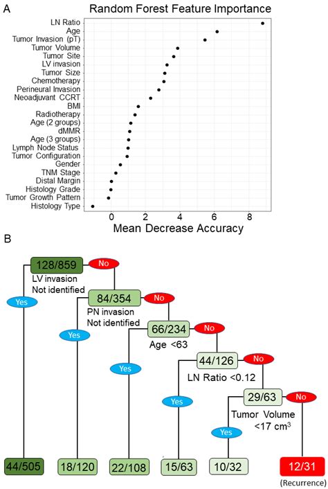 A Prediction Model For Tumor Recurrence In Stage Iiiii Colorectal Cancer Patients From A