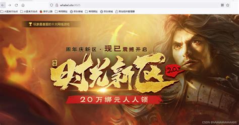 文件上传漏洞？ 看这一篇就够了 Nginx解析漏洞 修改后缀绕过前端验证 00截断 安鸾靶场练习nginx00截断 Csdn博客