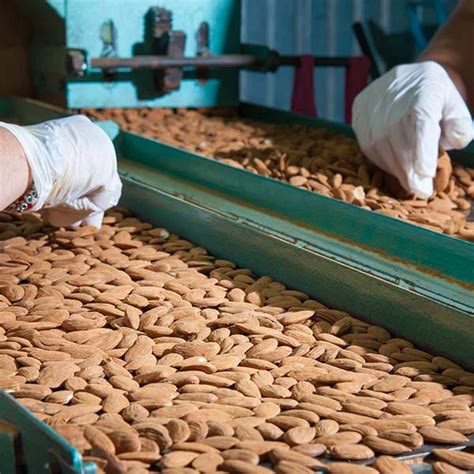 Nuts Quality And Safety Inspection With Hyperspectral Imaging Konica