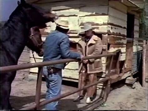 Cameo Porn Videos Porn Star Sex Scenes XHamster