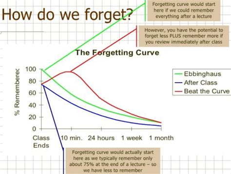 Employee Training Assessment Guide Train Smarter To Boost ROI