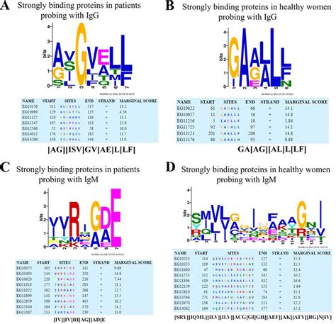 Consensus Motif Search Using Glam2 A The Consensus Motif Was Derived Download Scientific
