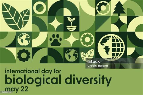 국제 생물 다양성의 날 5월 22일 휴일 개념입니다 배경 배너 카드 텍스트 비문이 있는 포스터를 위한 템플릿입니다 벡터