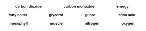 Igcse Biology 0610 12 1 Respiration Igcse Style Questions Paper 3