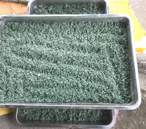 Nấm đối Kháng Trichoderma Gói 1 Kg