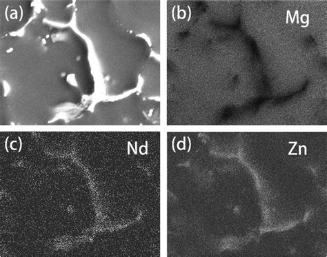 Eds Element Distribution Map Around Grain Boundary A Sem B Mg C Download Scientific