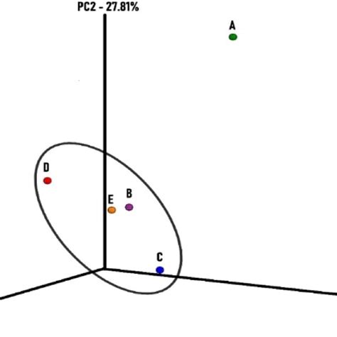 Three Dimensional Principal Coordinate Analysis Of Microbial