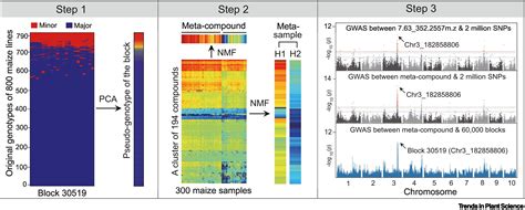 Machine Learning Bridges Omics Sciences And Plant Breeding Trends In