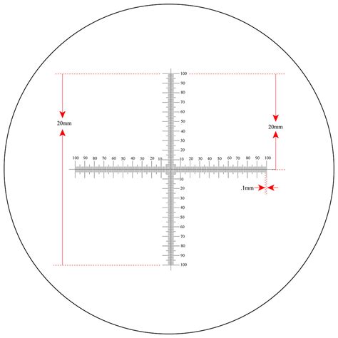 Crossed Scale Reticle 20mm In 200 Divisions Numbered 100 0 100 New York Microscope Company