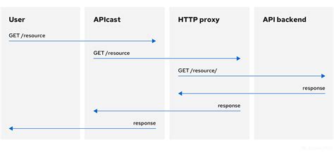 Chapter 3 APIcast Policies Administering The API Gateway Red Hat 3scale API Management 2