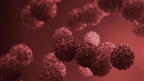 Элэгний Д вирусийн эмчилгээг энэ онд багтааж эхлүүлнэ