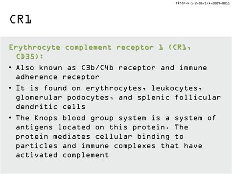 Ppt Complement Receptors Powerpoint Presentation Free Download Id 1975705