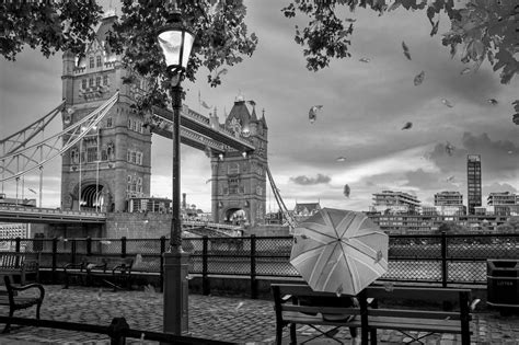 Completed Assignment Associate Director — Consulting Point