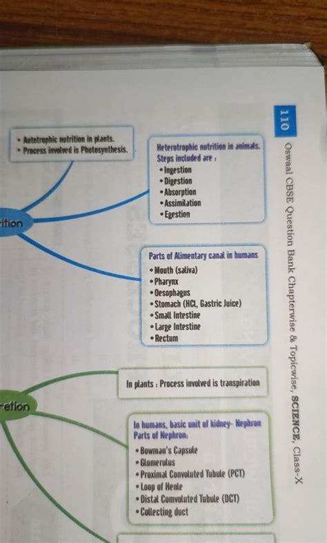 Autotrophic Nutrition In Plants Process Involved Is Photosynthesis Itio