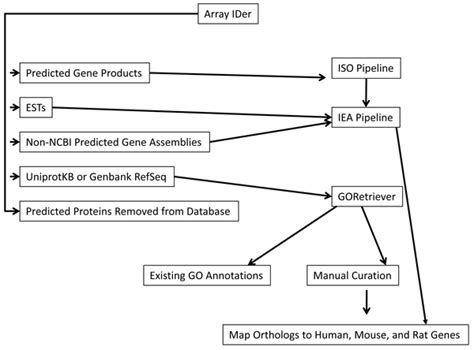 Flow Chart Demonstrating The Functional Annotation Process Functional