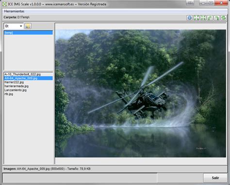 Iceman Software Ice Img Scale