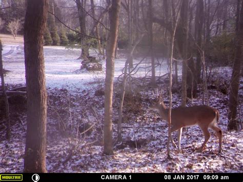 User Manual Game Trail Camera At Danyel Allen Blog