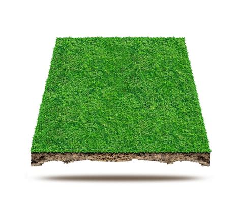 Premium Photo Square Of Green Grass Field Over White Background