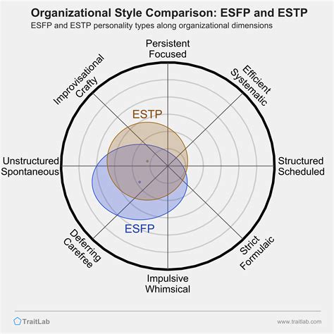 Esfp And Estp Compatibility Relationships Friendships And Partnerships