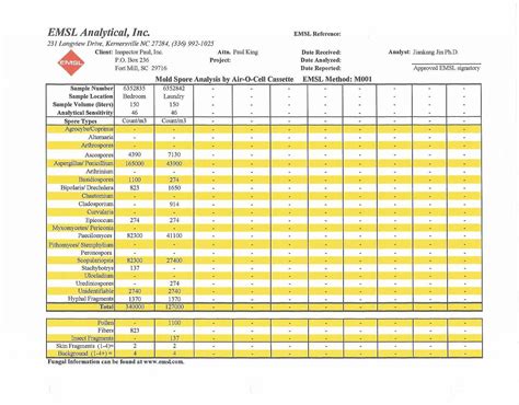 Mold Inspection Report Template
