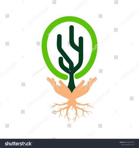 Green Tree Roots Vector Illustration Stock Vector Royalty Free Shutterstock