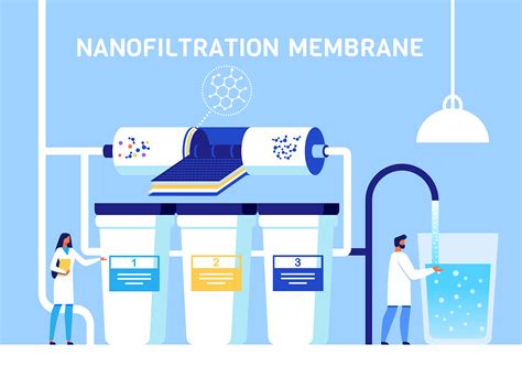 Ses Environmental Protection Pty Ltd