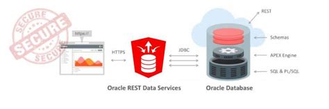 Ords Apex And Secure Rest Apis Part 1 Secure The Api Apex App Lab