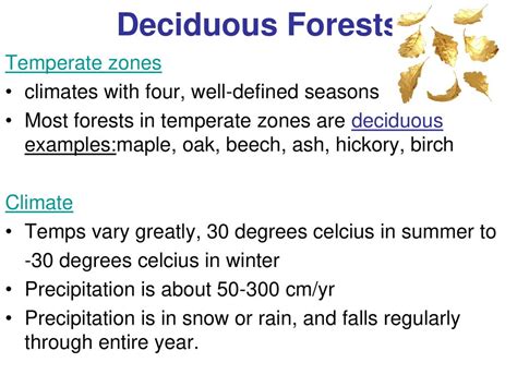 Coniferous Forests Deciduous Forests Rain Forests Ppt Download