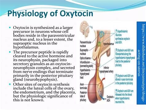 Posterior Pituitary Hormone Oxytocin Ppt