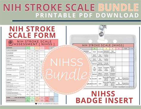 NIH Stroke Scale Bundle NIHSS Assessment Form And Badge Insert Printable PDF Download Etsy