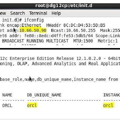 Primary Database Configuration Details Download Scientific Diagram