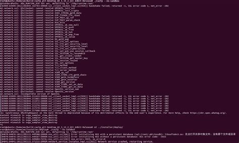 error network service crashed restarting service is displayed when
