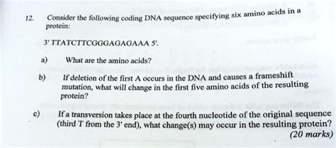 solved acids consider the following coding dna sequence specifying six
