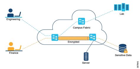 BGP EVPN VXLAN Configuration Guide Cisco IOS XE Dublin 17 12 X Catalyst 9300 Switches