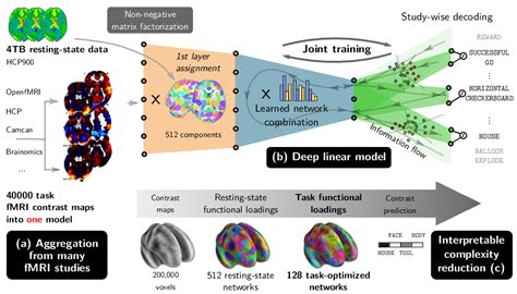 Extracting Universal Representations Of Cognition Across Brain Imaging