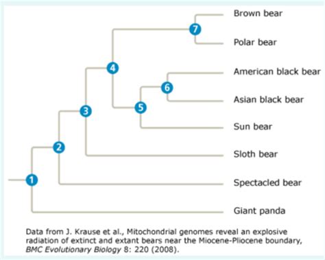 Bio 196 Exam 3 Isu Flashcards Quizlet