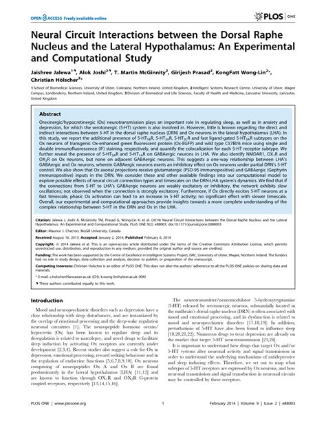 Pdf Neural Circuit Interactions Between The Dorsal Raphe Nucleus And The Lateral Hypothalamus