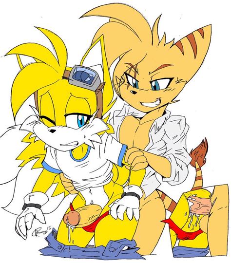 Post Sonic The Hedgehog Series Tails