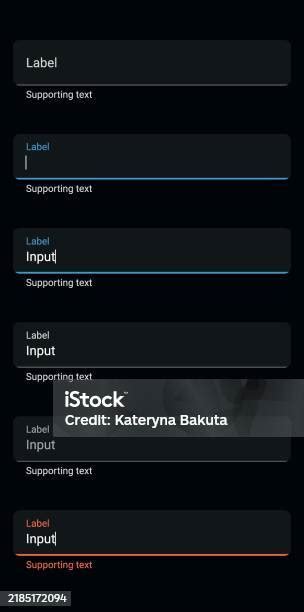 Text Input Field Set With States Default Focused And Error Stock