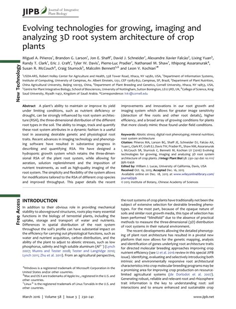 Pdf Root Architecture