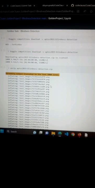 Saisriharshini Telaprolu On Linkedin Codeclause Blindness Detection