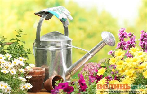 Місячний посівний календар на червень 2023 в допомогу для садівника городника та квітникара