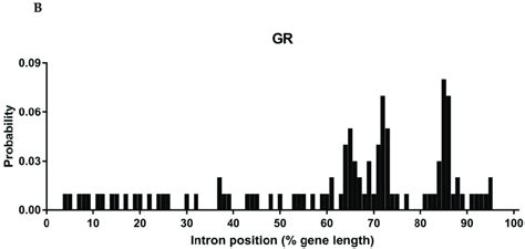 The Distribution Of Intron Positions With A Percentage Of Gene Length
