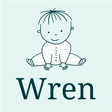 Girls Name Wren Meaning Origin And Popularity