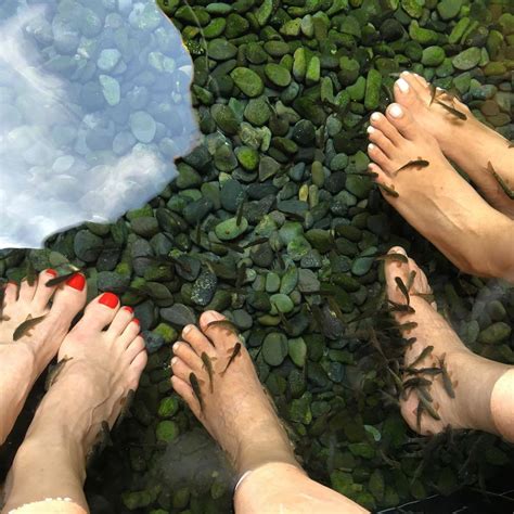 Joan Kelley Walkers Feet