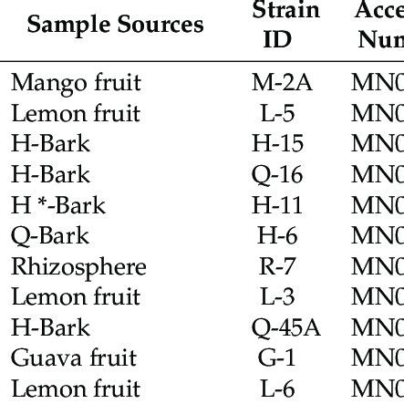 Yeast Species Isolated From Different Environmental Sample Sources Download Scientific Diagram