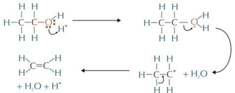 Dehydrating Alcohols Flashcards Quizlet