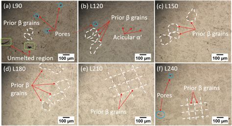 Optical Micrographs Of The Microstructure In Xy Plane Top Surface Of